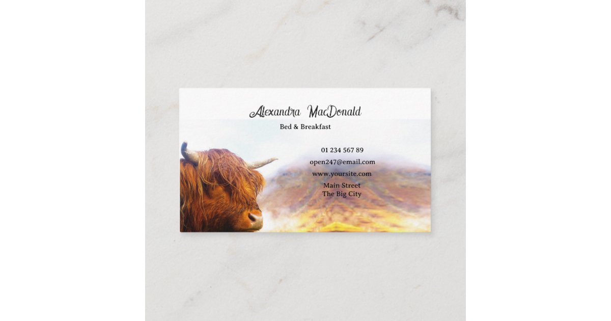 Scottish highland cow business card | Zazzle