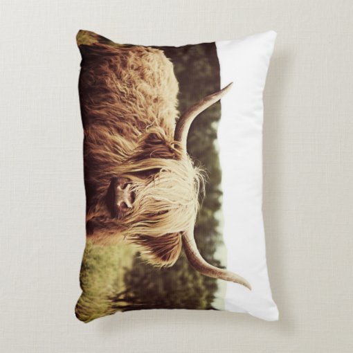 Scottish Highland Long Haired Cow Accent Pillow | Zazzle