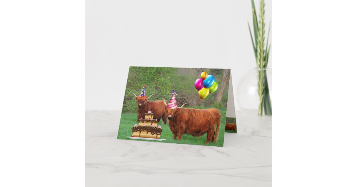 Scottish Highland Steer Party Birthday Card | Zazzle