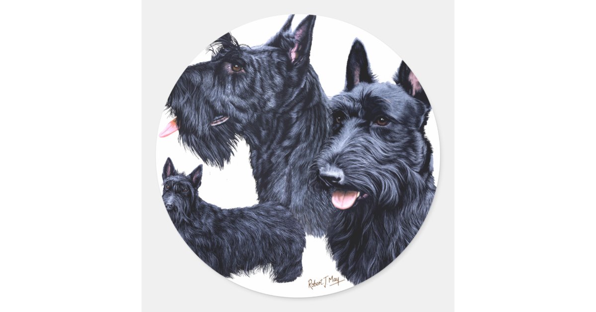 Scottish Terrier Classic Round Sticker | Zazzle