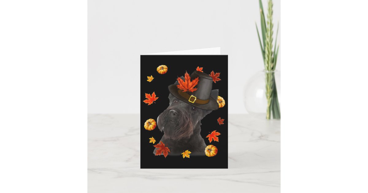 Scottish Terrier Dog Pilgrim Hat Fall Happy Thanks Card | Zazzle