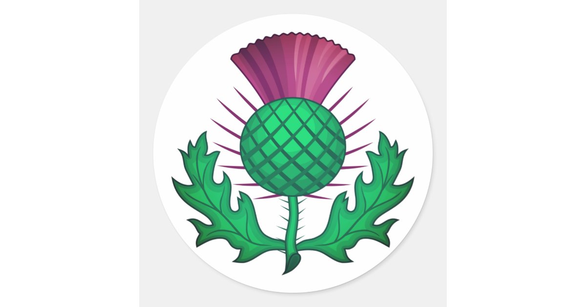 Scottish Thistle Classic Round Sticker | Zazzle