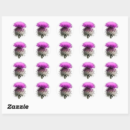 Scottish Thistle Classic Round Sticker | Zazzle
