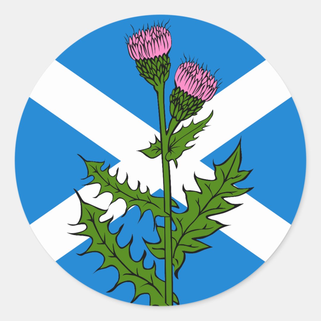 Scottish thistle classic round sticker | Zazzle