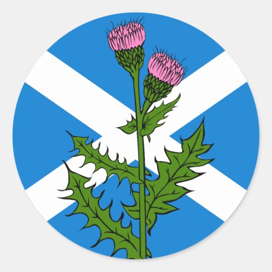 Scottish thistle classic round sticker | Zazzle.com