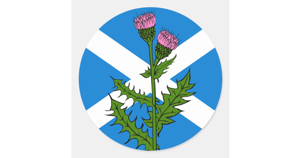 Scottish thistle classic round sticker | Zazzle