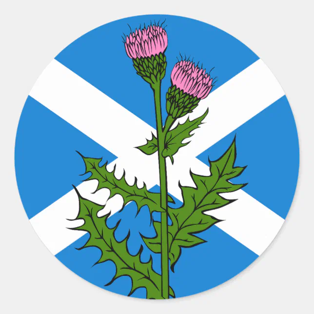 Scottish thistle classic round sticker | Zazzle