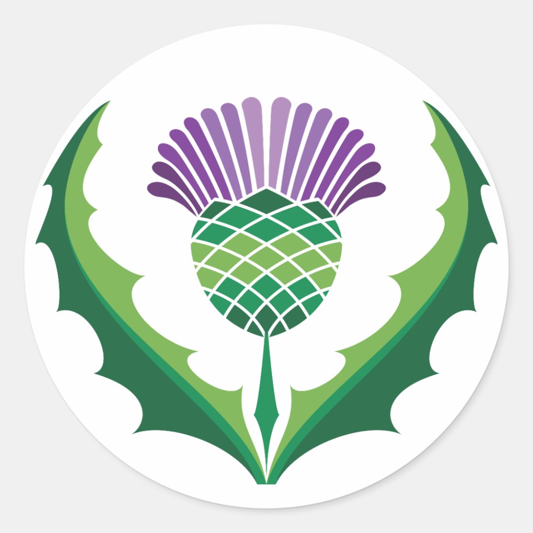 Scottish Thistle Sticker | Zazzle