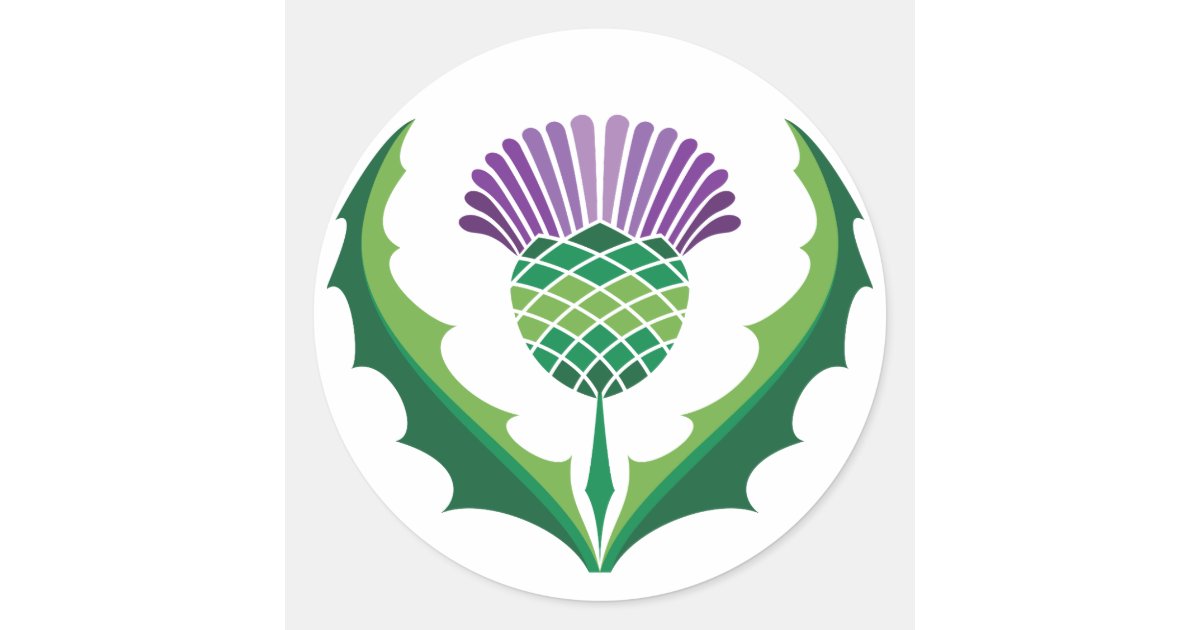 Scottish Thistle Sticker | Zazzle