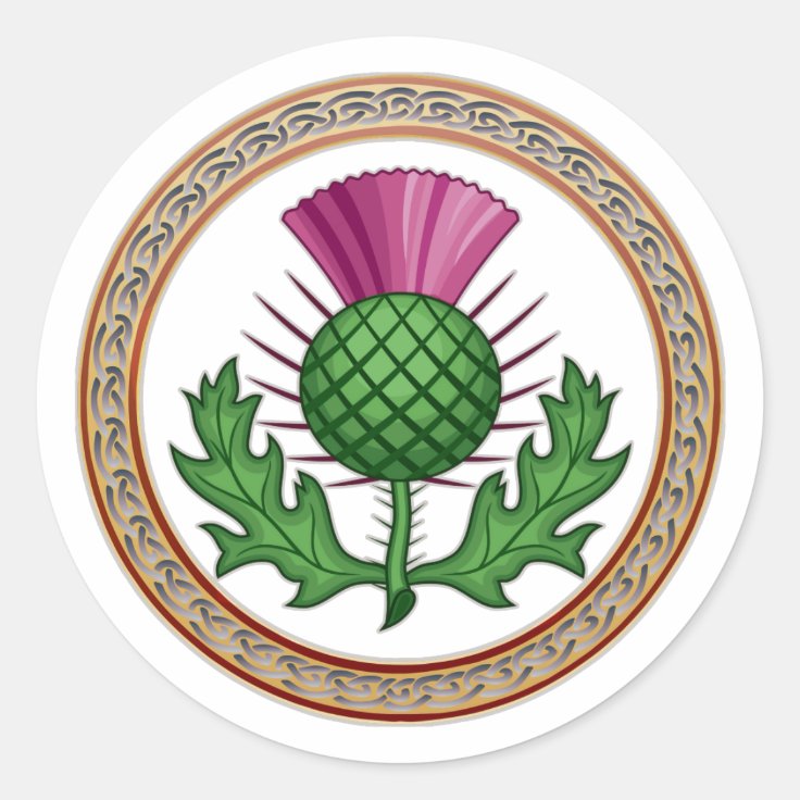 Scottish Thistle Symbol Badge Classic Round Sticker | Zazzle