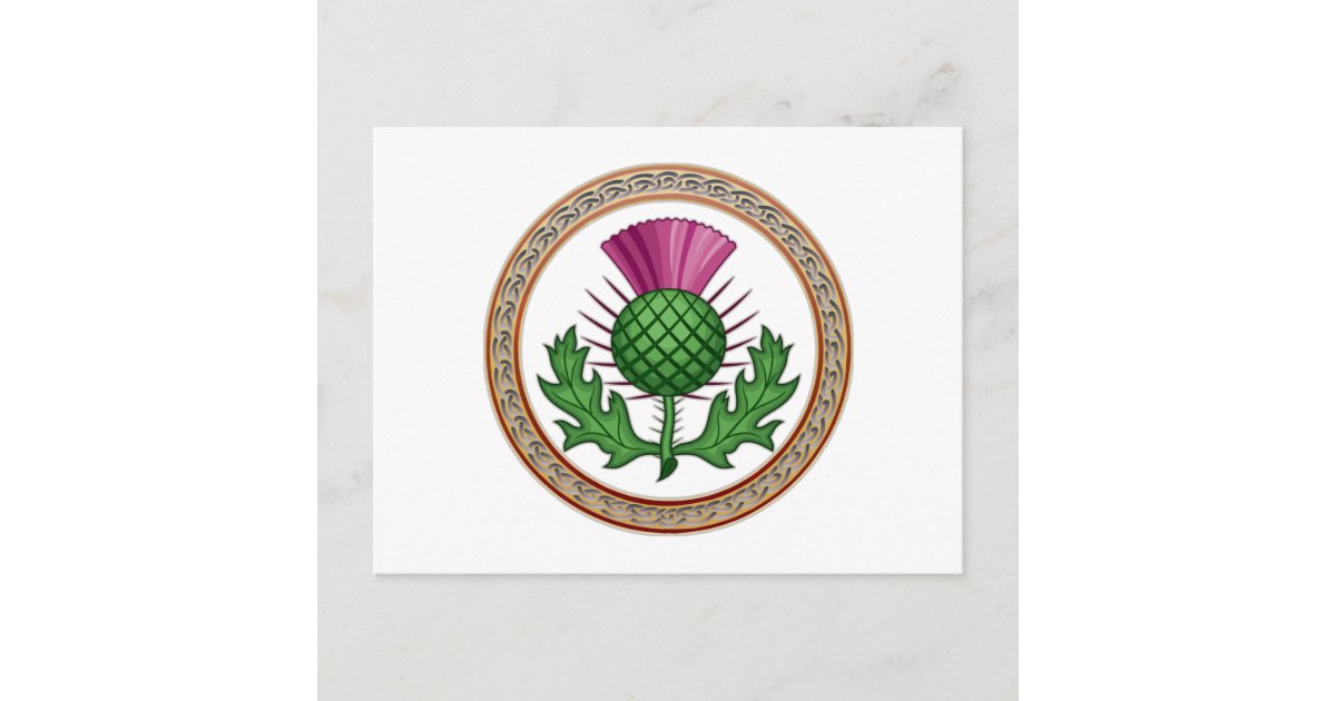 Scottish Thistle Symbol Badge Postcard | Zazzle