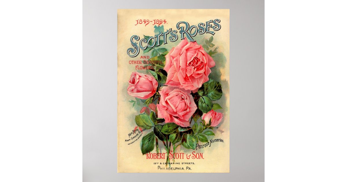 Scotts Roses Advertisement Poster | Zazzle