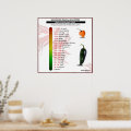 Scoville Heat Scale for Chili Peppers Poster | Zazzle
