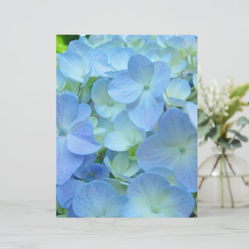 Scrapbooking paper Floral Theme Blue Hydrangeas | Zazzle