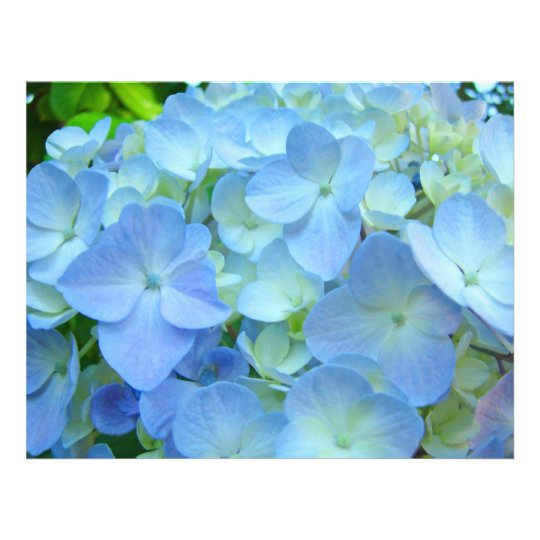 Scrapbooking Theme paper Blue Hydrangea Flowers | Zazzle.com