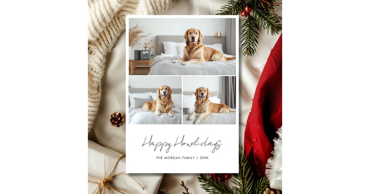 Script Happy Howlidays Pet Christmas Puppies Photo Holiday Card | Zazzle