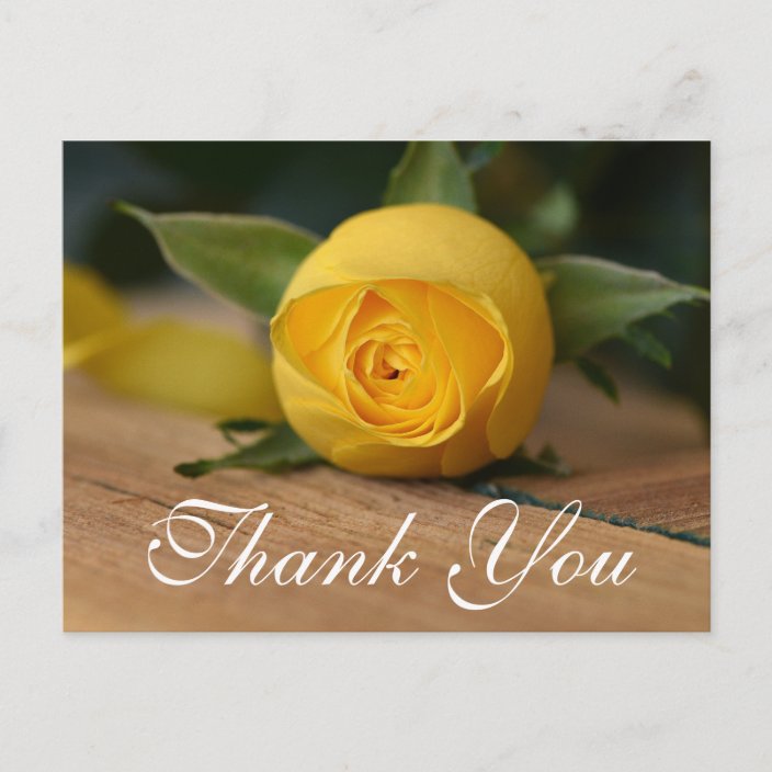 Script Yellow Rose Thank You Card | Zazzle.com