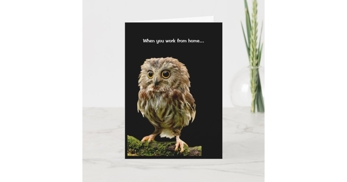 Scruffy Owl Working from Home Card | Zazzle