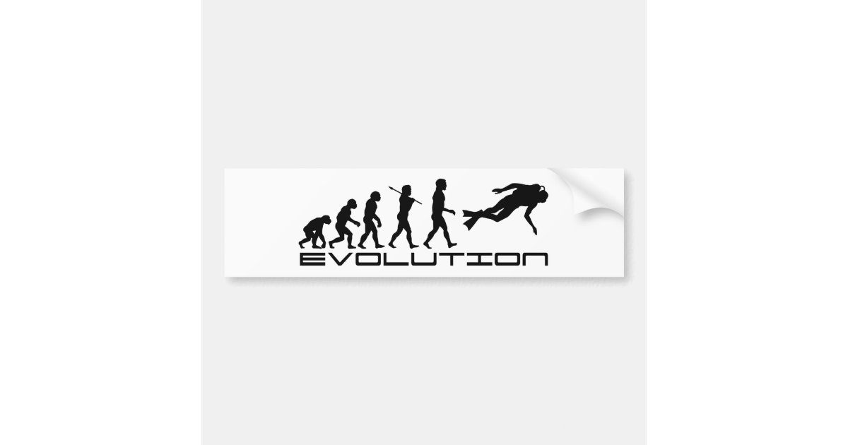 Scuba Diver Diving Water Sport Evolution Art Bumper Sticker | Zazzle
