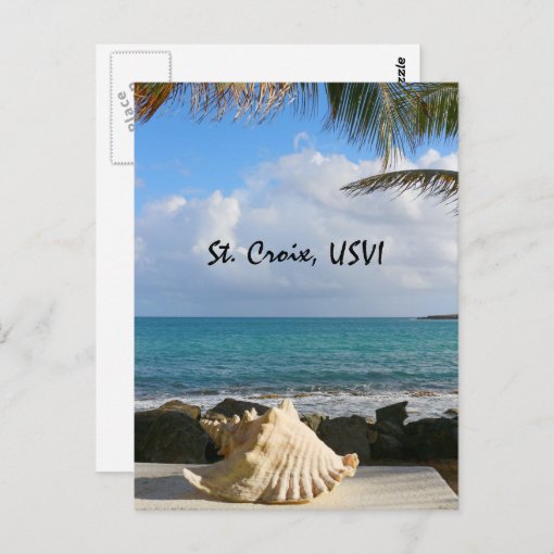 Sea and Sea Shell Postcard | Zazzle