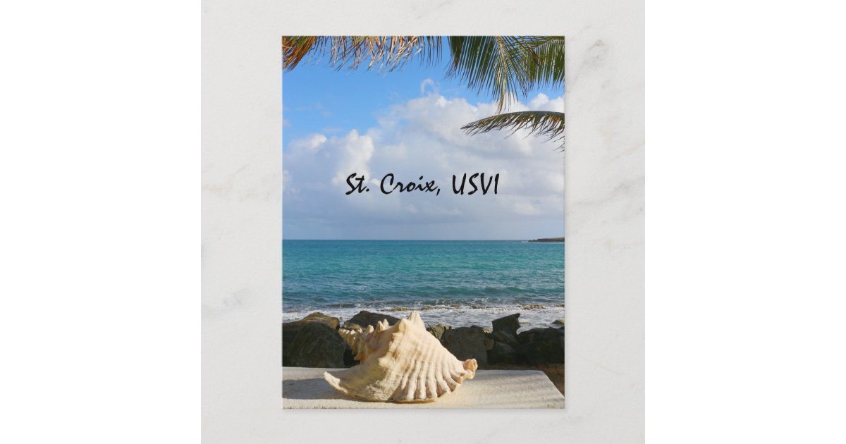 Sea and Sea Shell Postcard | Zazzle