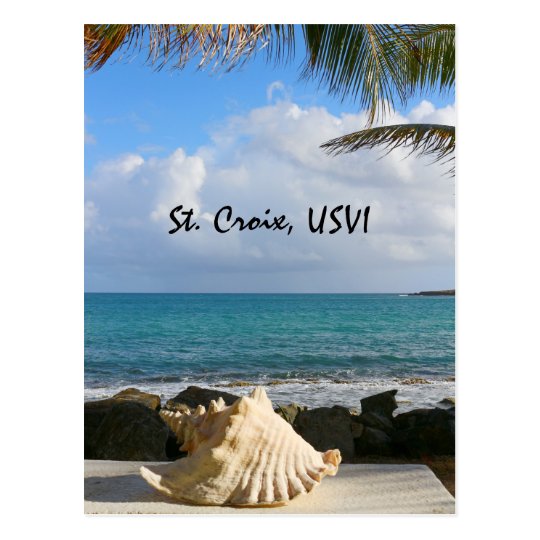 Sea and Sea Shell Postcard | Zazzle.com