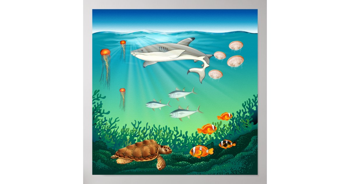 Sea animals swimming under the sea poster | Zazzle