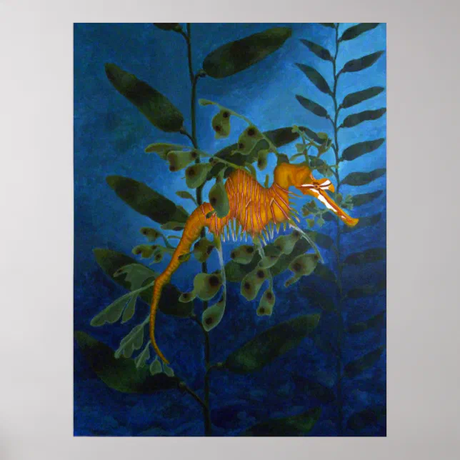 Sea Dragon Poster | Zazzle