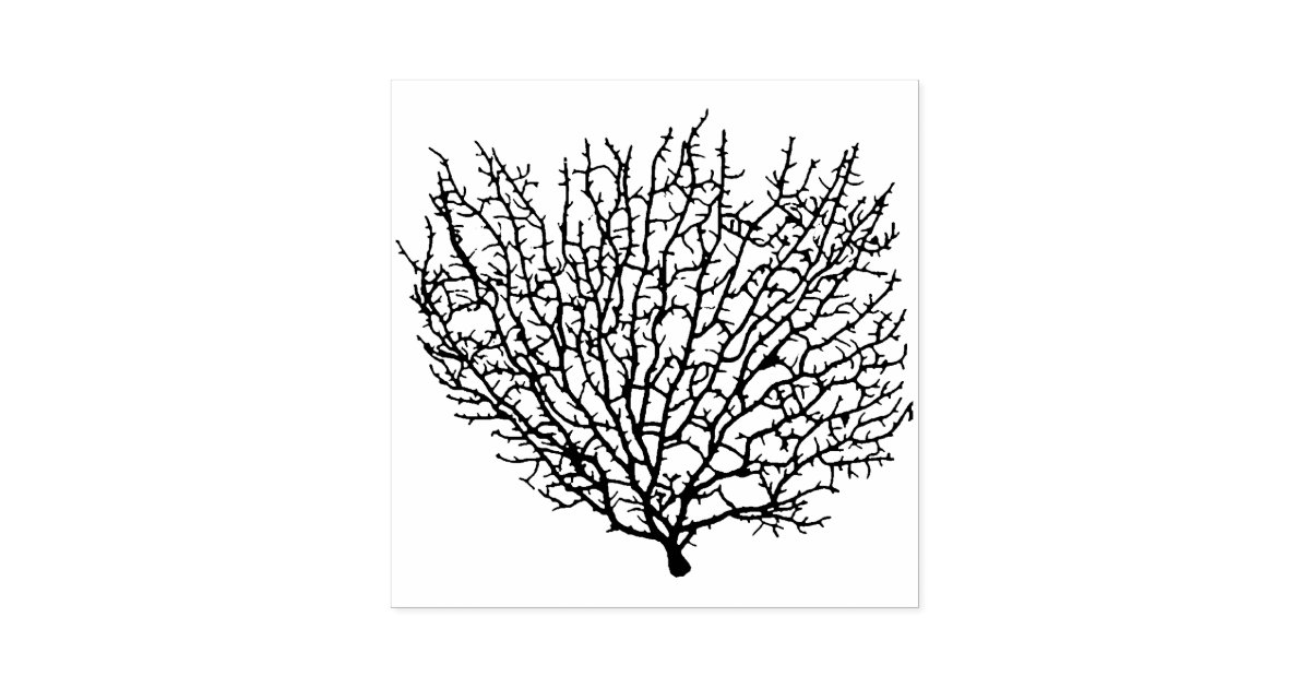 Sea Fan Coral Rubber Stamp | Zazzle