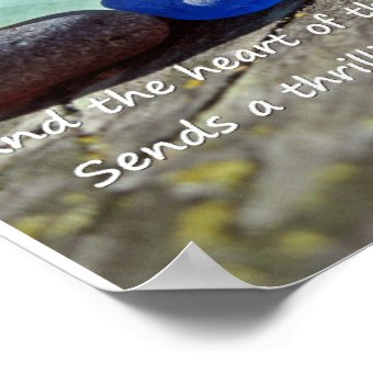 Sea Glass Poster - with Quote | Zazzle