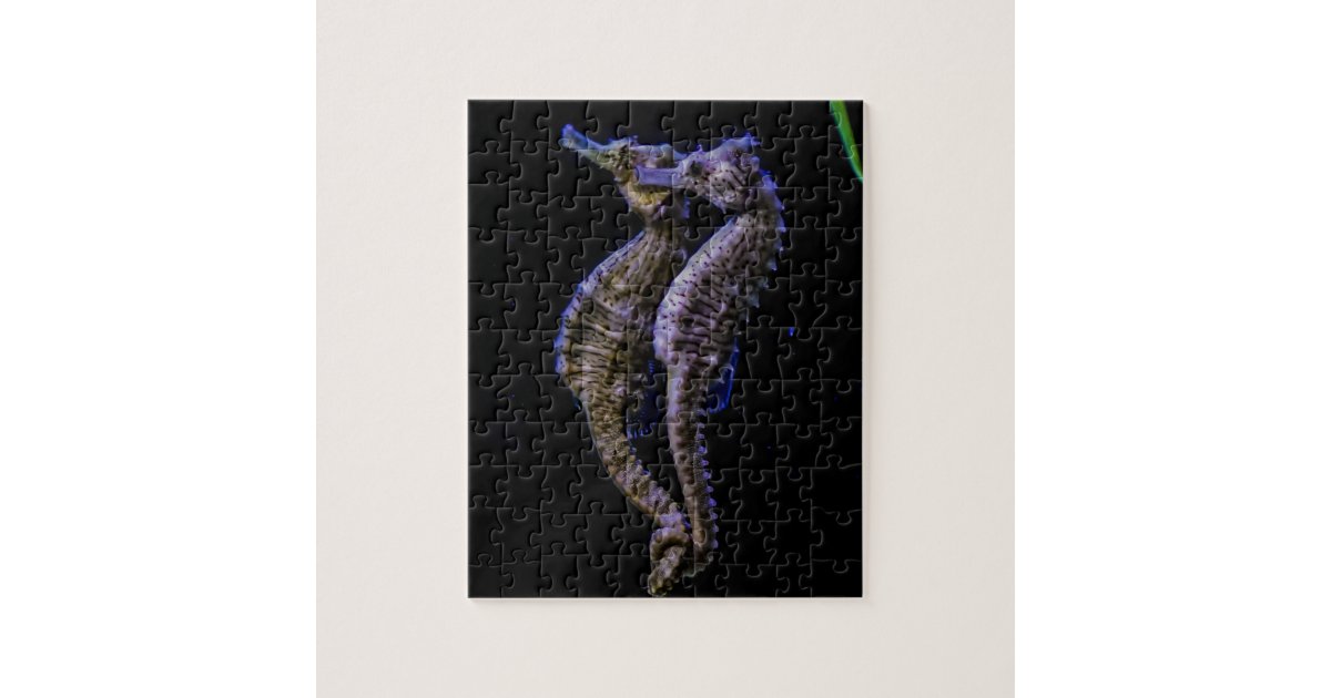 Sea Horses (Seahorses) Jigsaw Puzzle | Zazzle