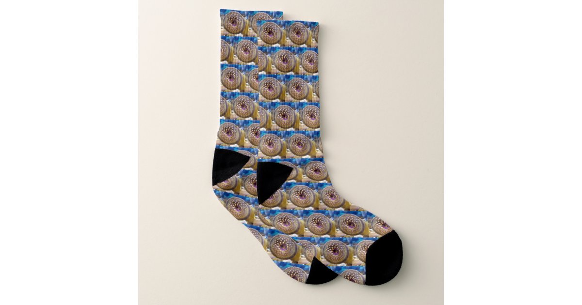 Sea Lamprey mouth Socks | Zazzle