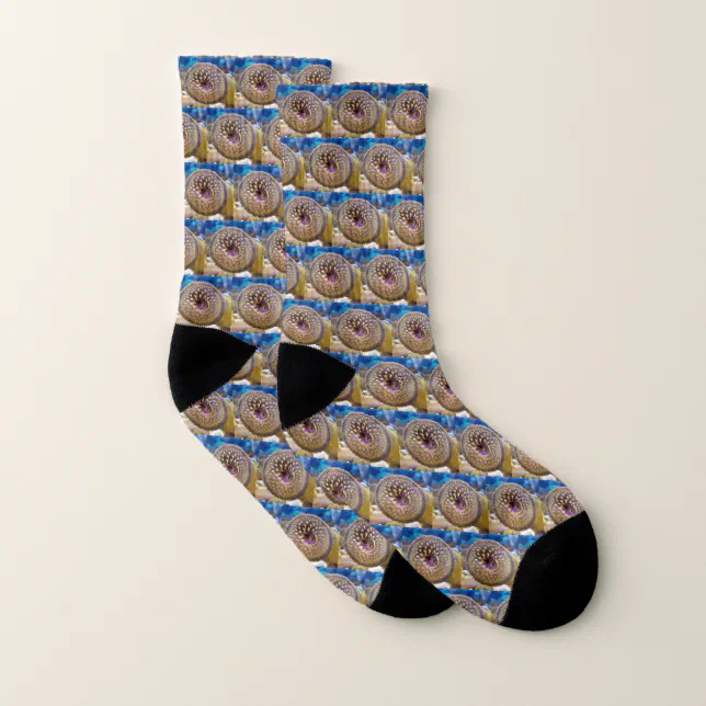 Sea Lamprey mouth Socks | Zazzle