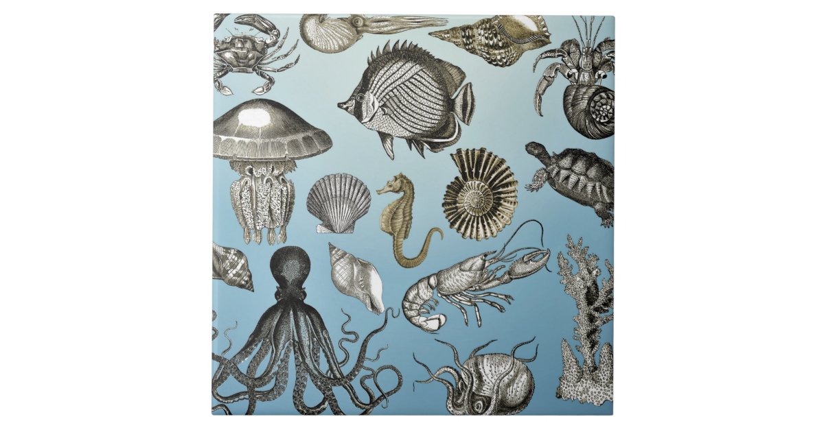 Sea Life Ceramic Tile | Zazzle