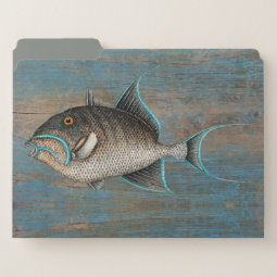 Sea Life Distressed Wood Grain Fish Crab Shrimp File Folder | Zazzle