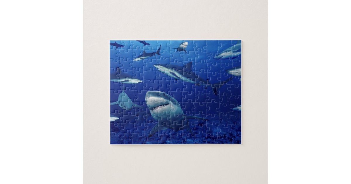 Sea Life Puzzle-Sharks Jigsaw Puzzle | Zazzle