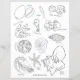 Sea Life Seashell ID Worksheet Coloring Page | Zazzle