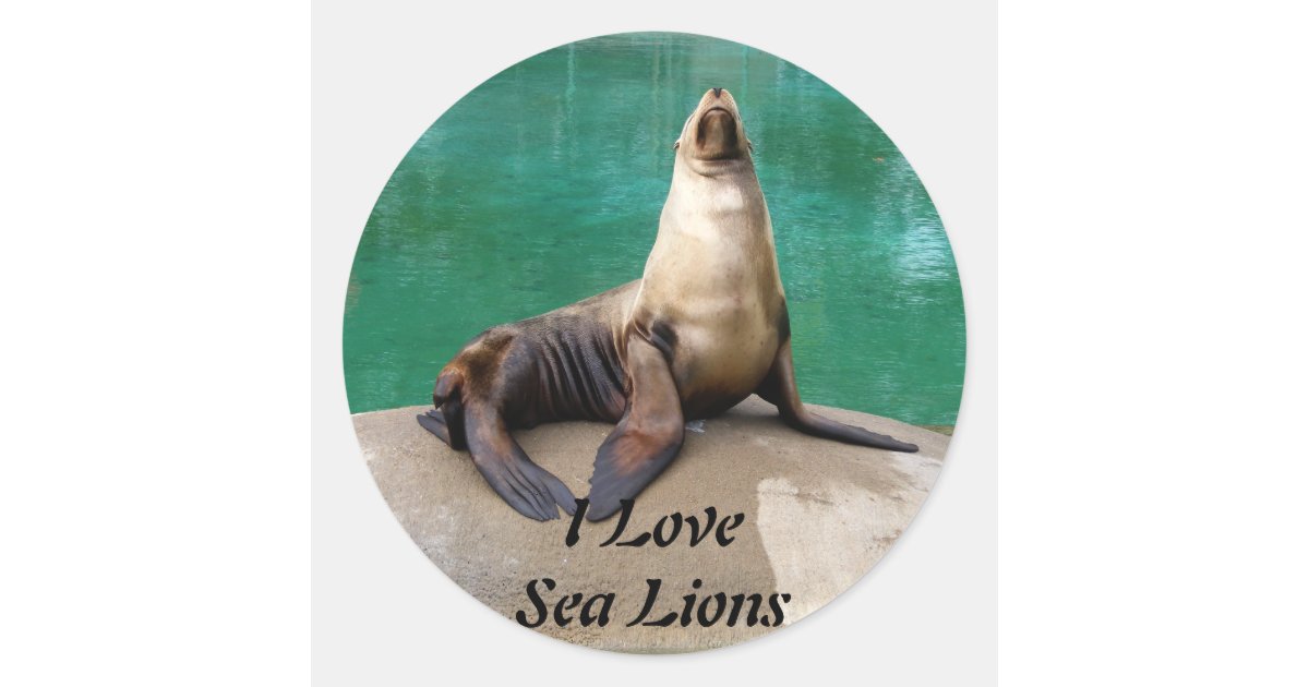 Sea Lion Stickers | Zazzle