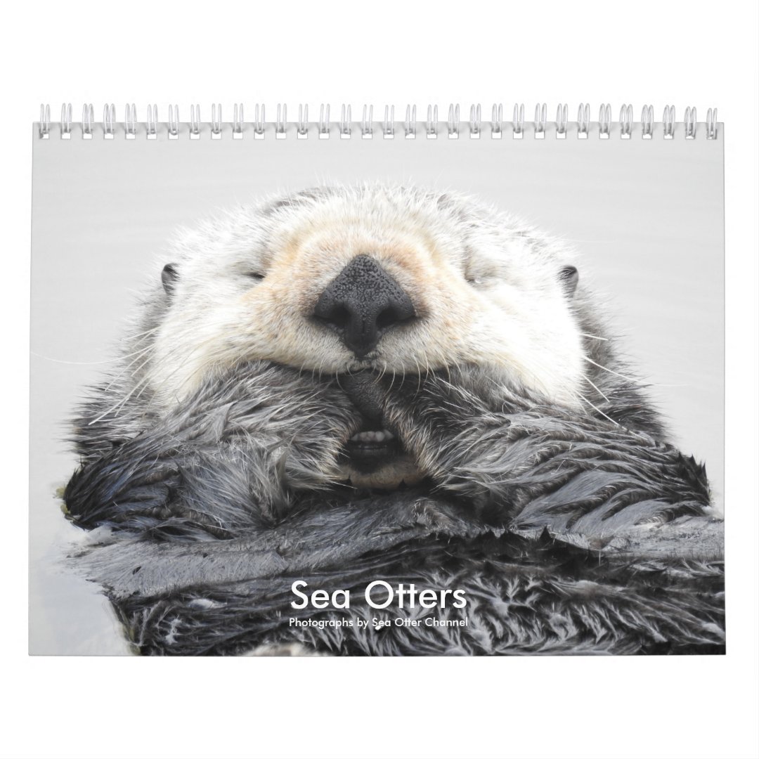 Sea Otter Channel Calendar #2 | Zazzle