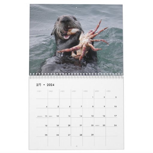 Sea Otter Channel Calendar #4 | Zazzle