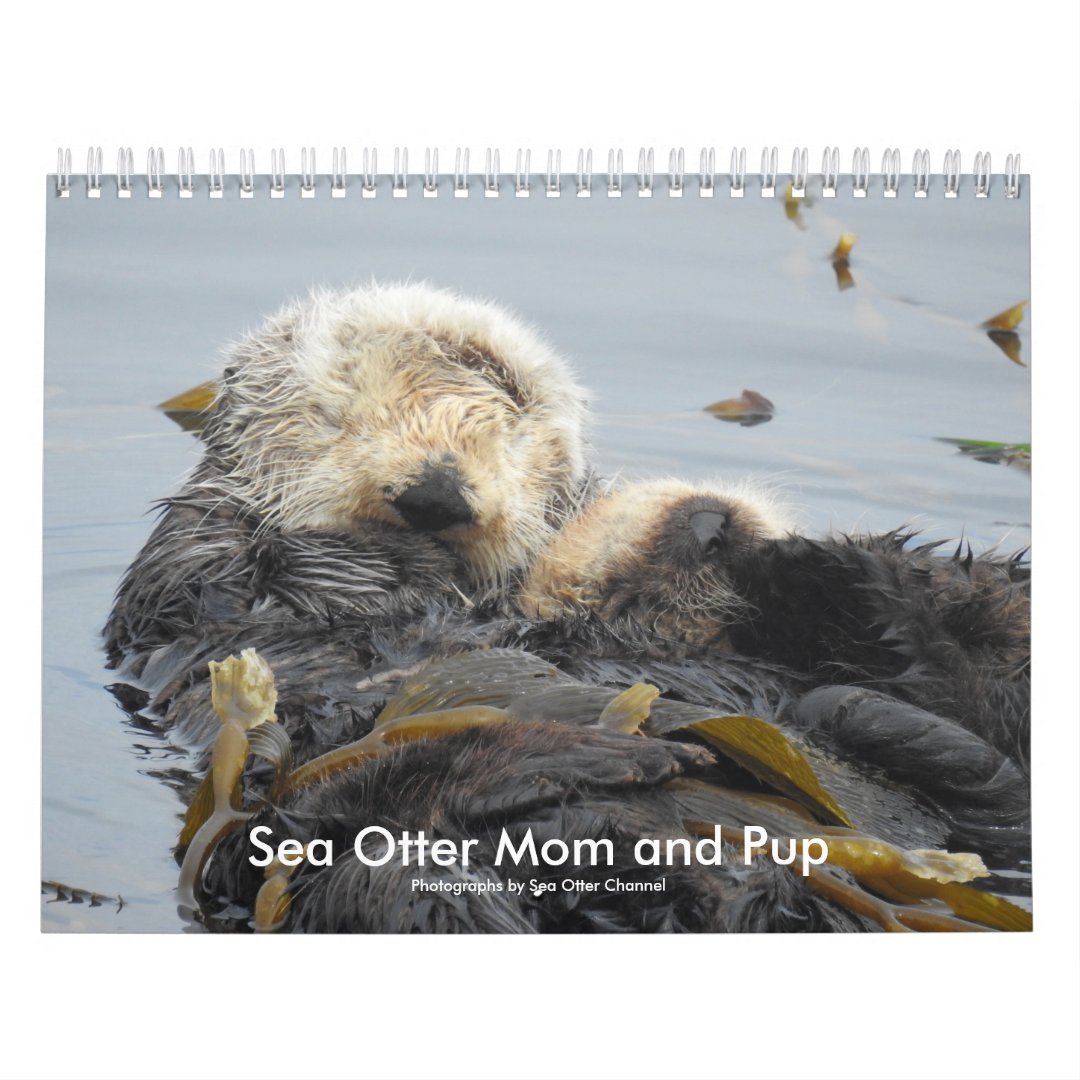 Sea Otter Mom and Pup Calendar #1 | Zazzle