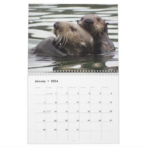 Sea Otter Mom and Pup Calendar #1 | Zazzle