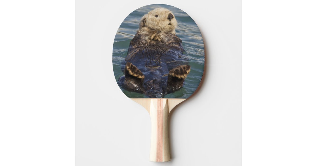 Sea otters play on icebergs at Surprise Inlet Ping Pong Paddle | Zazzle