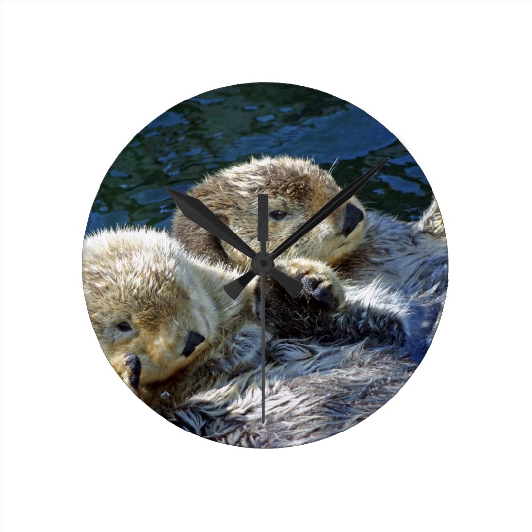Sea-otters Round Clock | Zazzle