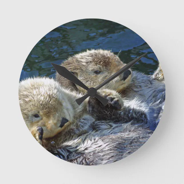 Sea-otters Round Clock | Zazzle