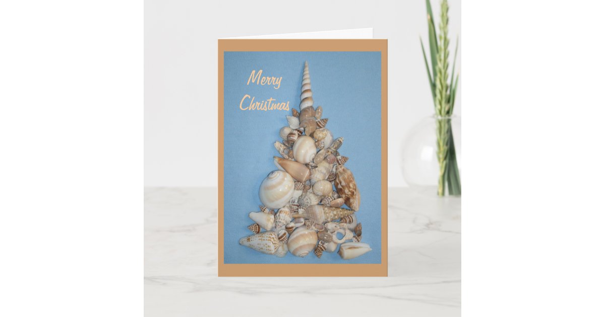 Sea Shell Christmas Card | Zazzle.com