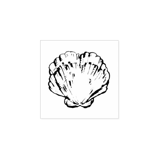 Sea shell clam line art drawing rubber stamp | Zazzle