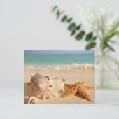 Sea Shell Postcard | Zazzle