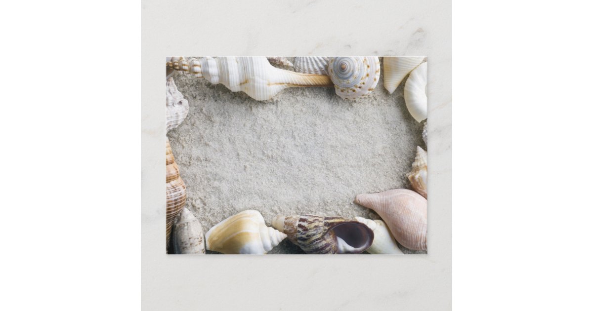 Sea Shell Sand Background - Beach Shells Customize Postcard | Zazzle.com