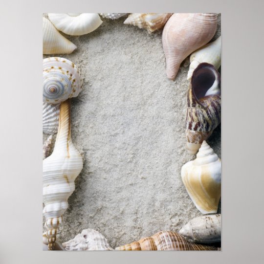 Sea Shell Sand Background - Beach Shells Customize Poster | Zazzle.com